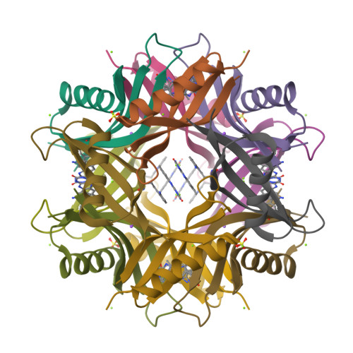 RCSB PDB - 4B2K: COMPLEXES OF DODECIN WITH FLAVIN AND FLAVIN-LIKE LIGANDS