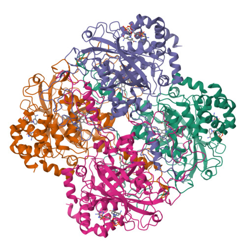 RCSB PDB - 4B7G: Structure of a bacterial catalase