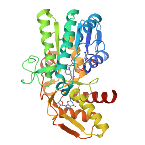 RCSB PDB - 4B8Z: Crystal structure of human GDP-L-fucose synthase with ...