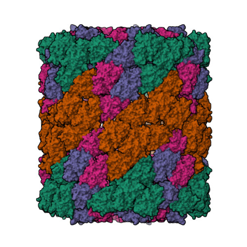 RCSB PDB - 4BED: Keyhole limpet hemocyanin (KLH): 9A cryoEM structure ...