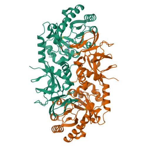 RCSB PDB - 4BEQ: Structure of Vibrio cholerae broad spectrum racemase ...