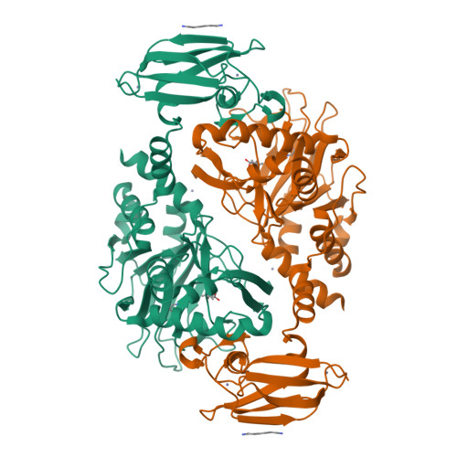 RCSB PDB - 4BHF: Three dimensional structure of human gamma ...