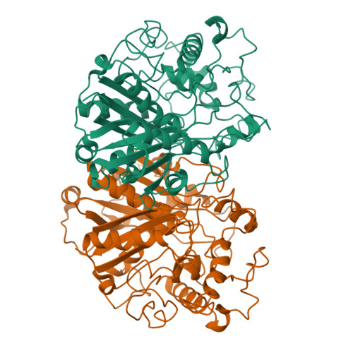 RCSB PDB - 4BIA: Crystal structure of SCP2 thiolase from Trypanosoma ...