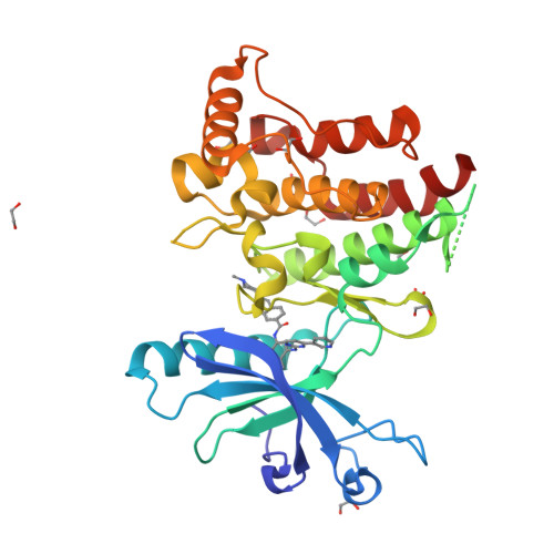 RCSB PDB - 4BKJ: Crystal structure of the human DDR1 kinase domain in ...