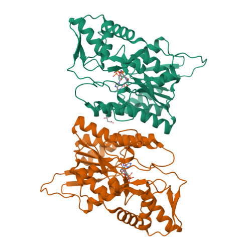 RCSB PDB - 4BKP: Crystal structure of human GDP-L-fucose synthase with ...