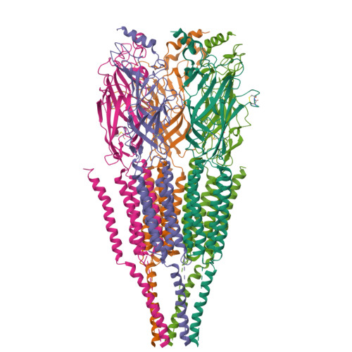 RCSB PDB - 4BOR: The structure and super-organization of acetylcholine ...
