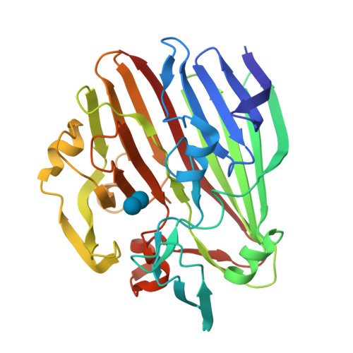 RCSB PDB - 4BZG: Crystal structure of galactose mutarotase GalM from ...