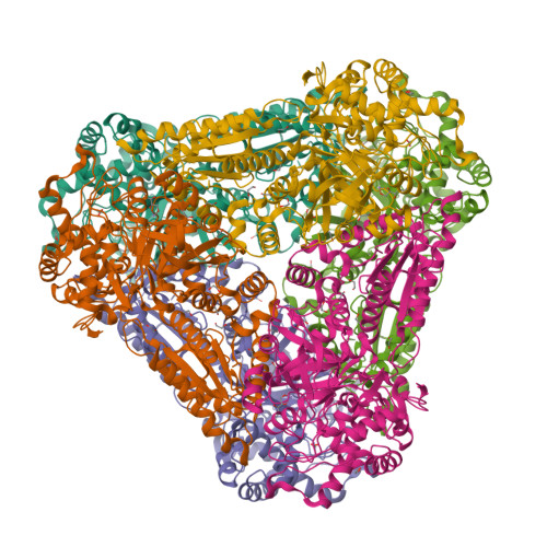 RCSB PDB - 4C21: L-Fucose Isomerase In Complex With Fucitol
