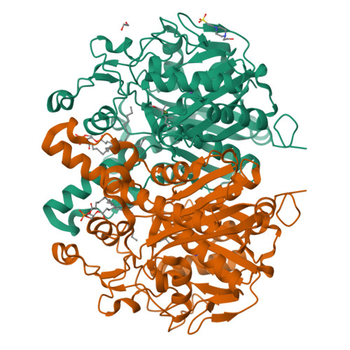 RCSB PDB - 4C6X: Crystal structure of M. tuberculosis C171Q KasA in ...