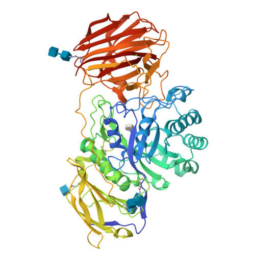 RCSB PDB - 4CCC: STRUCTURE OF MOUSE GALACTOCEREBROSIDASE WITH 4NBDG ...