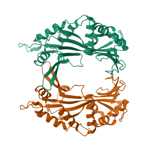 RCSB PDB - 4CIJ: Structure of Rolling Circle Replication Initiator ...