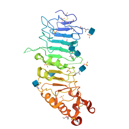 RCSB PDB - 4CNC: Crystal structure of human 5T4 (Wnt-activated ...
