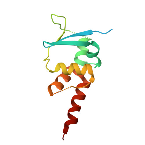 RCSB PDB - 4CRH: Crystal structure of the BTB-T1 domain of human SHKBP1