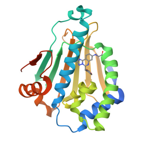 RCSB PDB - 4CWS: Human HSP90 alpha N-terminal domain in complex with an ...