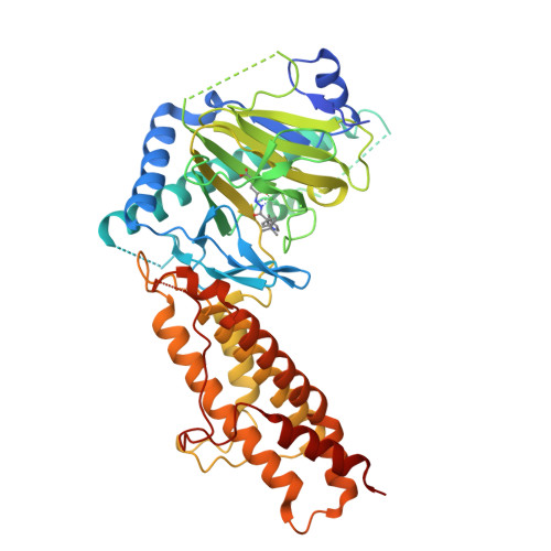 RCSB PDB - 4CXX: Crystal structure of human FTO in complex with ...