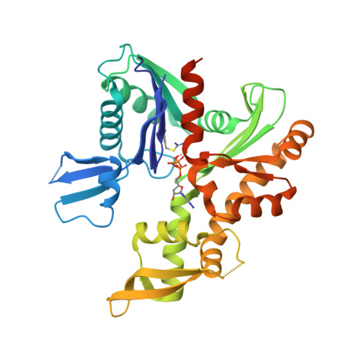 RCSB PDB - 4CZK: C. crescentus MreB, single filament, AMPPNP, MP265 ...