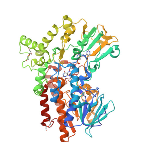 RCSB PDB - 4D03: Structure of the Cys65Asp mutant of phenylacetone ...