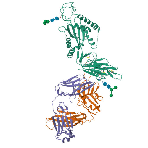RCSB PDB - 4DAG: Structure of the Human Metapneumovirus Fusion Protein ...