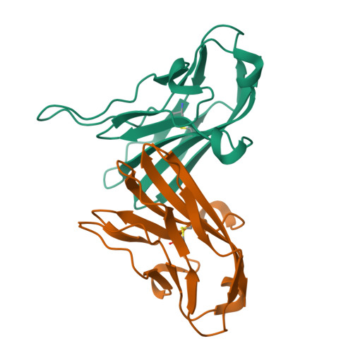 RCSB PDB - 4DFH: Crystal structure of cell adhesion molecule nectin-2 ...