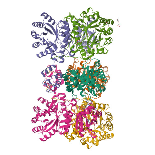 RCSB PDB - 4DJD: Crystal structure of folate-free corrinoid iron-sulfur ...