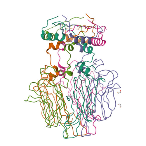 RCSB PDB - 4DMI: Crystal Structure of a Pentameric Capsid Protein ...