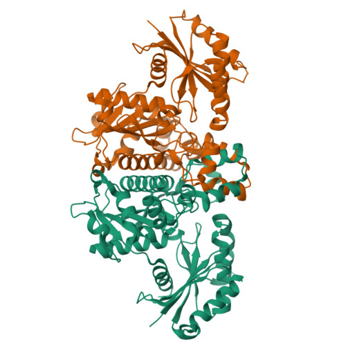 RCSB PDB - 4DQ8: Crystal structure of acetate kinase AckA from ...