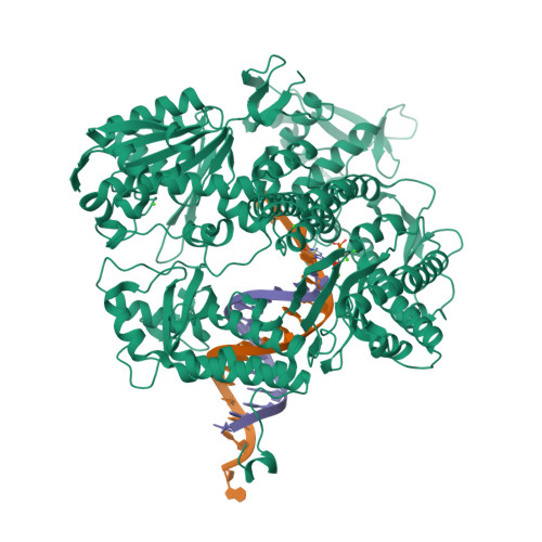 RCSB PDB - 4DTP: RB69 DNA Polymerase Ternary Complex with dGTP Opposite ...