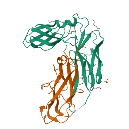 RCSB PDB - 4DWH: Structure of the major type 1 pilus subunit FIMA bound ...