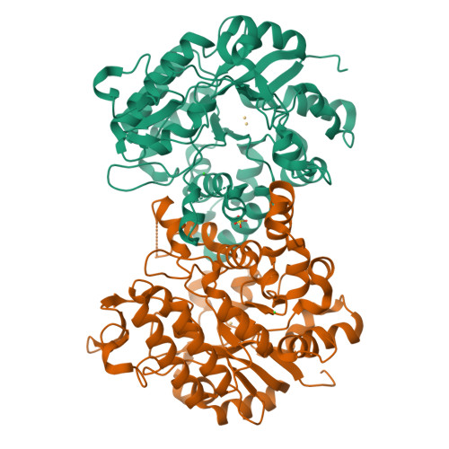 RCSB PDB - 4DZI: Crystal structure of amidohydrolase map2389c (target ...