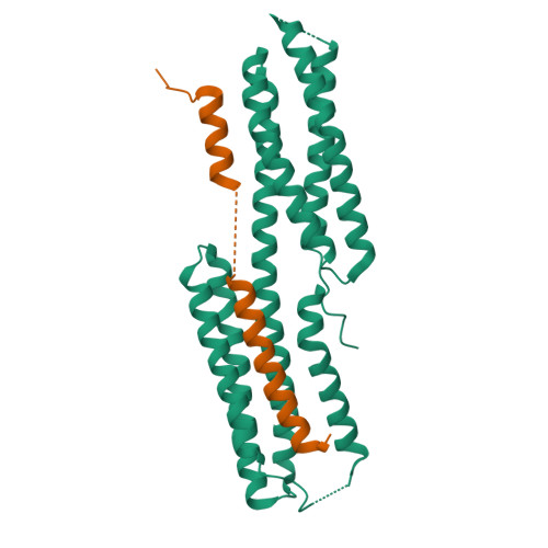 RCSB PDB - 4E18: Alpha-E-catenin is an autoinhibited molecule that co ...