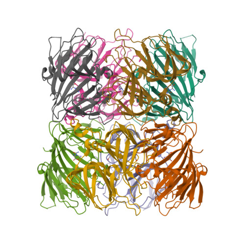 RCSB PDB - 4E2S: Crystal structure of (S)-Ureidoglycine Aminohydrolase ...
