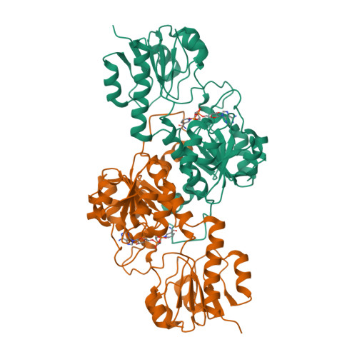 RCSB PDB - 4E5N: Thermostable phosphite dehydrogenase in complex with NAD