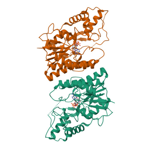 RCSB PDB - 4E5Y: Structure of human FX protein, the key enzyme in the ...