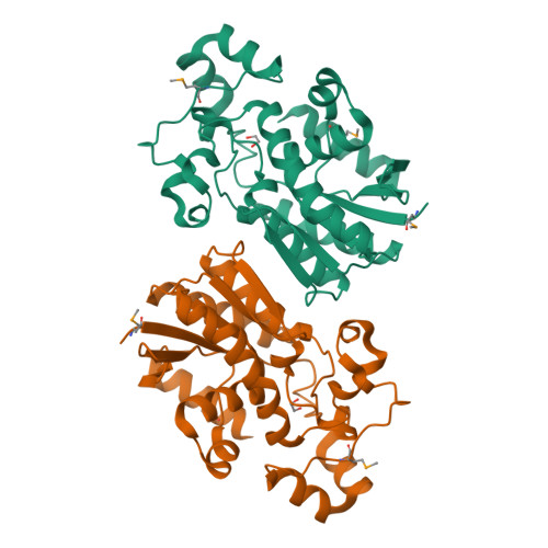 RCSB PDB - 4EMB: Crystal structure of a phosphoglycerate mutase gpmA ...