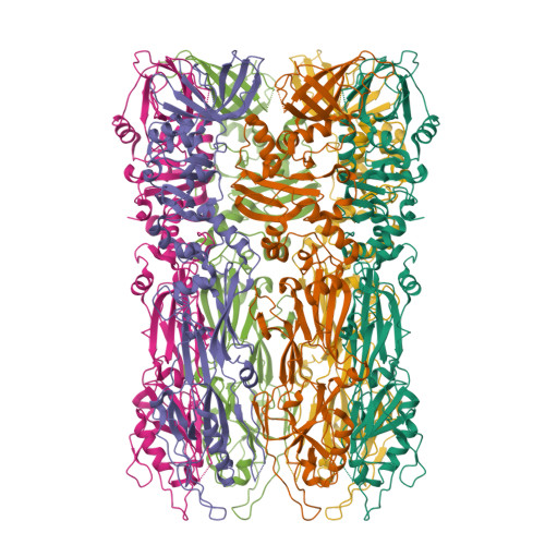 RCSB PDB - 4EO2: Structure of the bacteriophage C1 tail knob protein, gp12