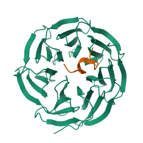 RCSB PDB - 4ERZ: X-ray structure of WDR5-MLL4 Win motif peptide binary ...