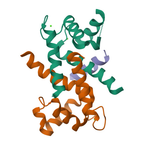 RCSB PDB - 4ETO: Structure of S100A4 in complex with non-muscle myosin ...