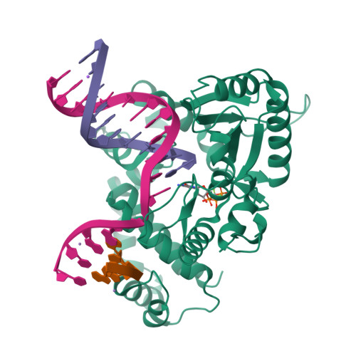 RCSB PDB - 4F5R: Open and closed ternary complex of R283K DNA ...
