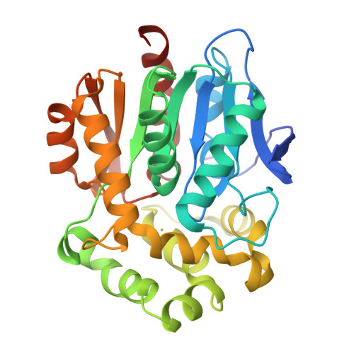 RCSB PDB - 4F60: Crystal structure of Rhodococcus rhodochrous ...