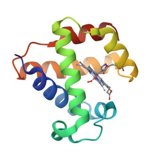 RCSB PDB - 4F6I: Oxy Structure of His100Trp Cerebratulus lacteus mini ...