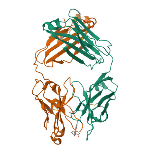RCSB PDB - 4FAB: THREE-DIMENSIONAL STRUCTURE OF A FLUORESCEIN-FAB ...