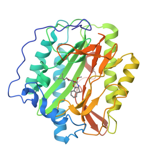 RCSB PDB - 4FLK: Human MetAP1 with bengamide analog Y10, in Mn form