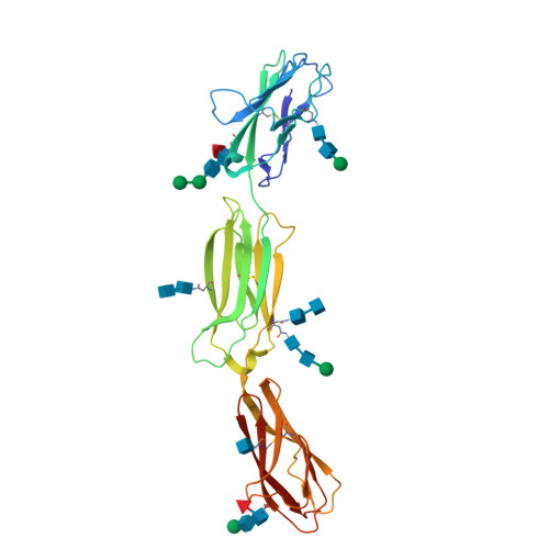RCSB PDB - 4FQP: Crystal structure of human Nectin-like 5 full ...