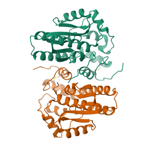 APS1/VSP family Protein Family | canSAR.ai | canSAR.ai