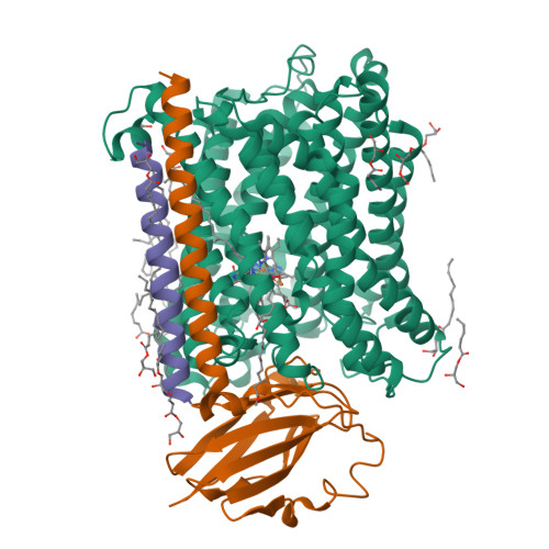 RCSB PDB - 4G70: Structure of Recombinant Cytochrome ba3 Oxidase mutant ...