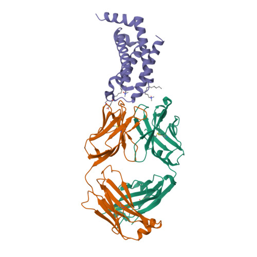 RCSB PDB - 4G7V: Crystal structure of voltage sensing domain of Ci-VSP ...