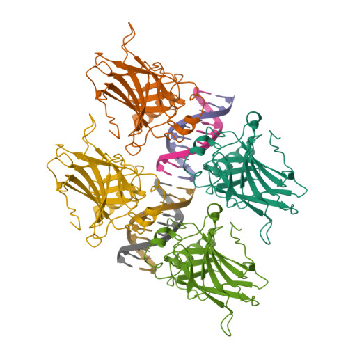 RCSB PDB - 4G82: Crystal Structure of p73 DNA-Binding Domain Tetramer ...