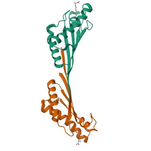 RCSB PDB - 4G88: Crystal structure of OmpA peptidoglycan-binding domain ...
