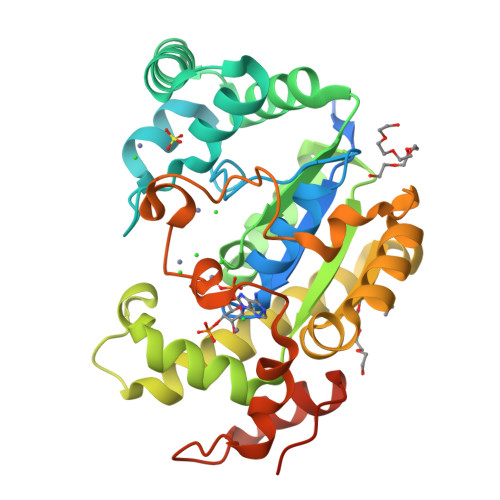 RCSB PDB - 4GBM: Sulfotransferase Domain from the Curacin Biosynthetic ...