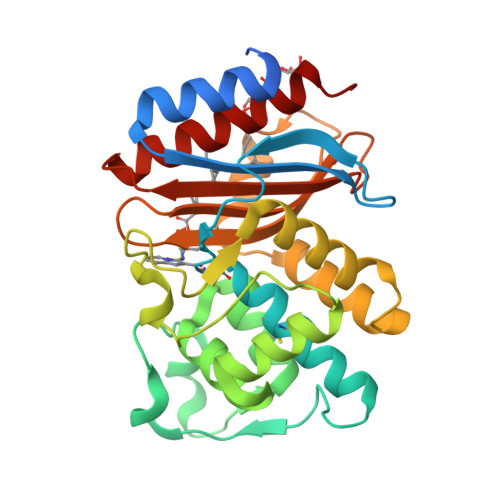 RCSB PDB - 4GD6: SHV-1 beta-lactamase in complex with penam sulfone SA1-204